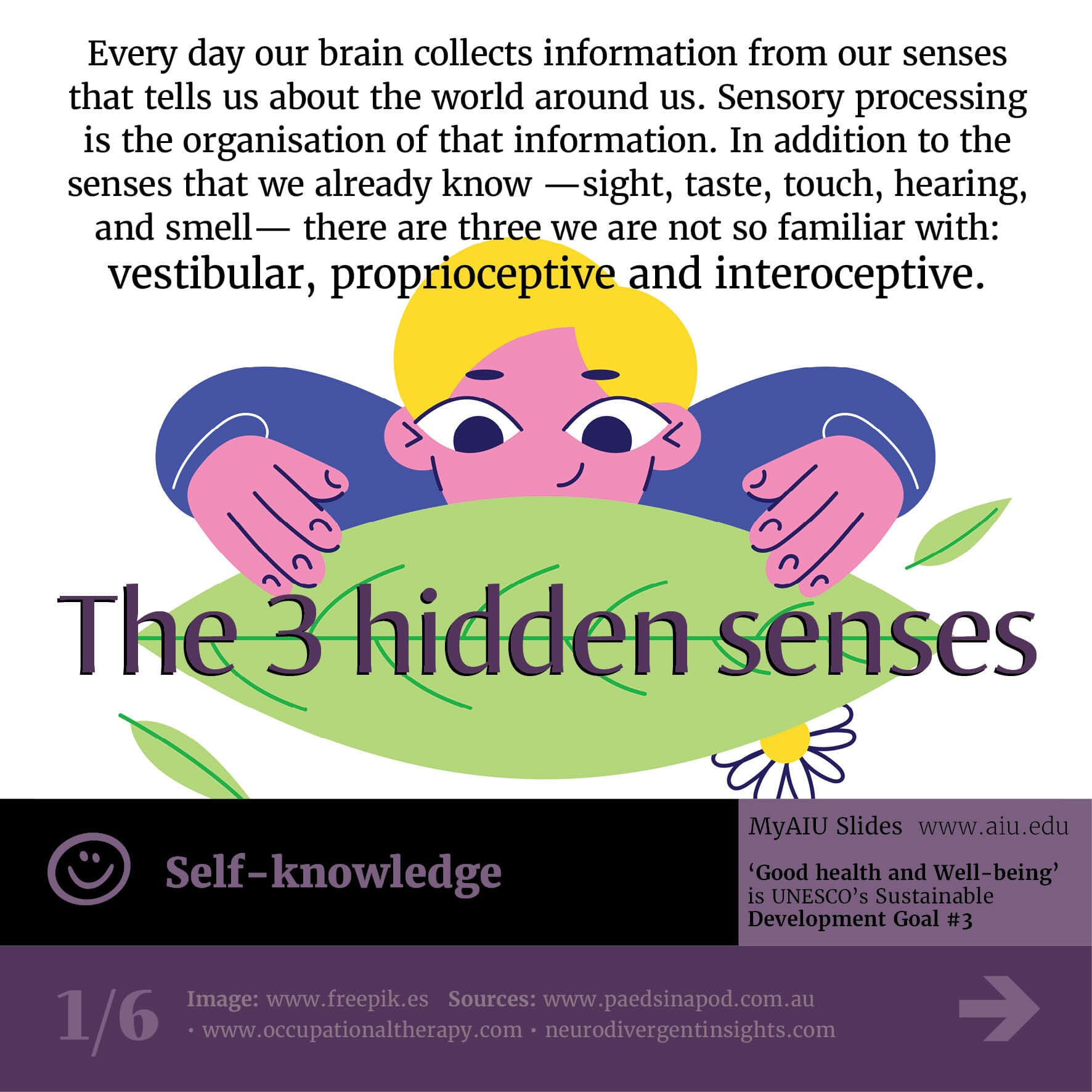 Revealing the Hidden Senses: Beyond the Big 5 - Atlantic International ...